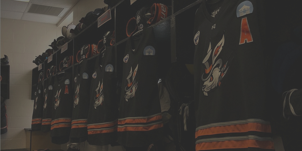 IT IS TIME TO BREAK UP THE NORTH AMERICAN HOCKEY LEAGUE? – Stephen Heisler